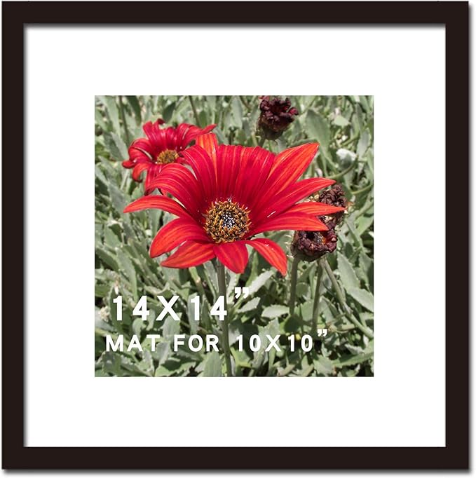 Amazon.com - SKAOTUS 14x14 Picture Frame Black Solid Wood for Mat 10x10 ...