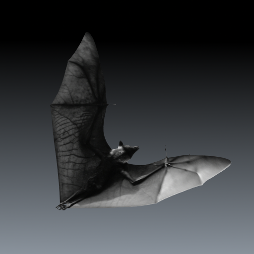 Bat Sounds - App on Amazon Appstore