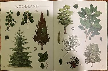 The Botanist's Sticker Anthology (DK Sticker Anthology): DK ...