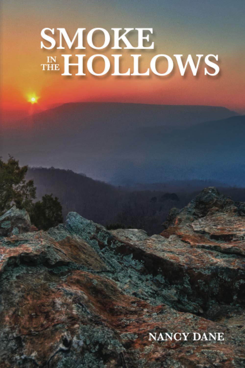 Smoke in the Hollows: Dane, Nancy: 9780997764031: Amazon.com: Books