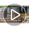 Amazon.com : Orchid Bark Potting Mix 3Quart, Mix Pine Bark, Organic ...