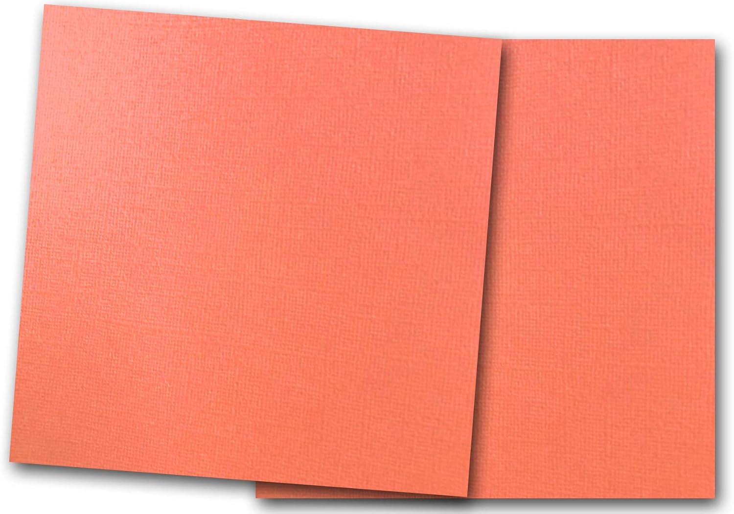 Amazon.com : Premium Canvas Textured Wild Salmon Card Stock - 20 Sheets ...