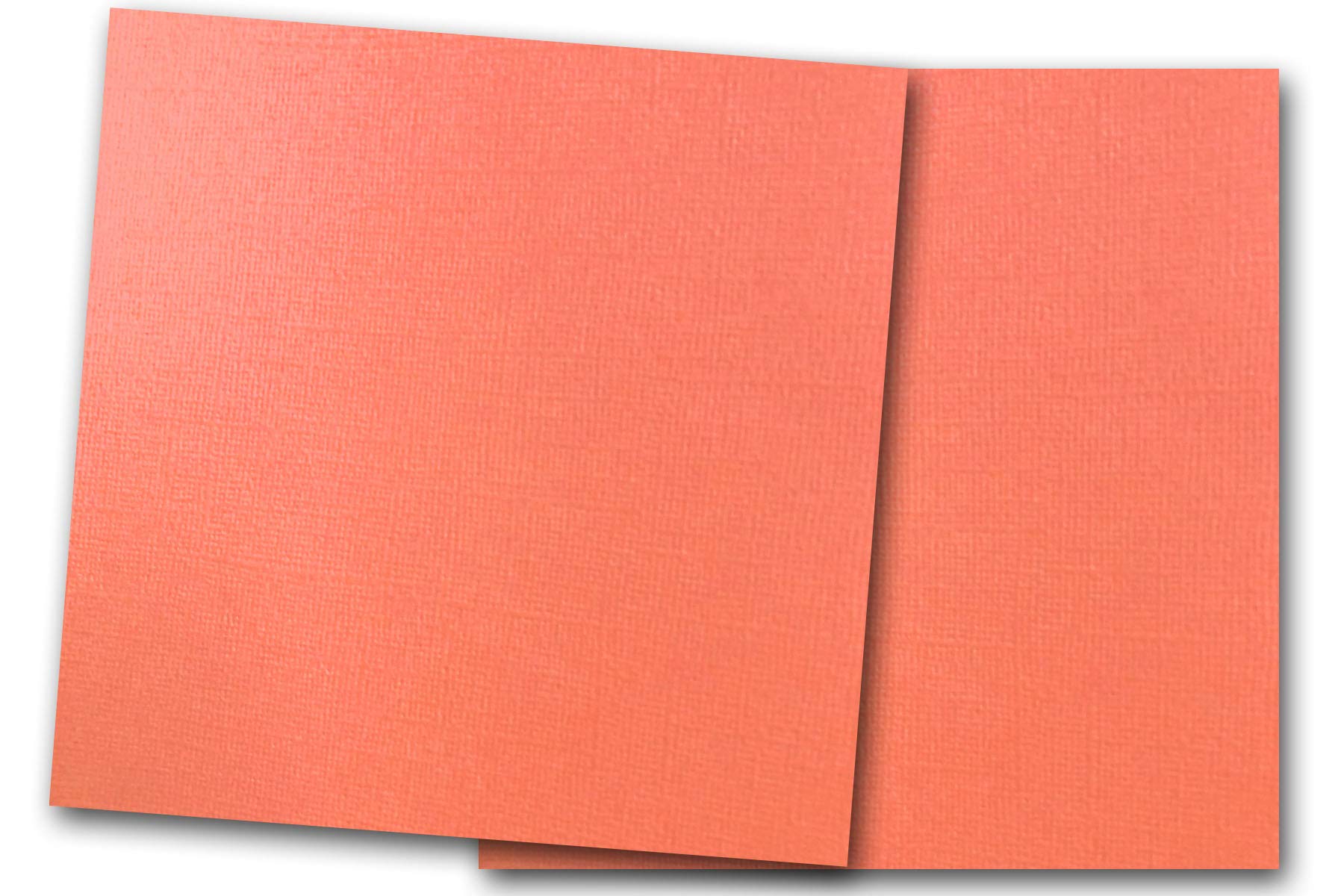 Amazon.com : Premium Canvas Textured Wild Salmon Card Stock - 20 Sheets ...