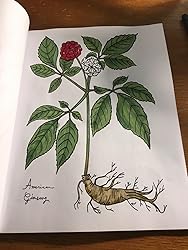 Medicinal Plant Coloring Book: An Herb Guide (Beautiful Adult Coloring ...
