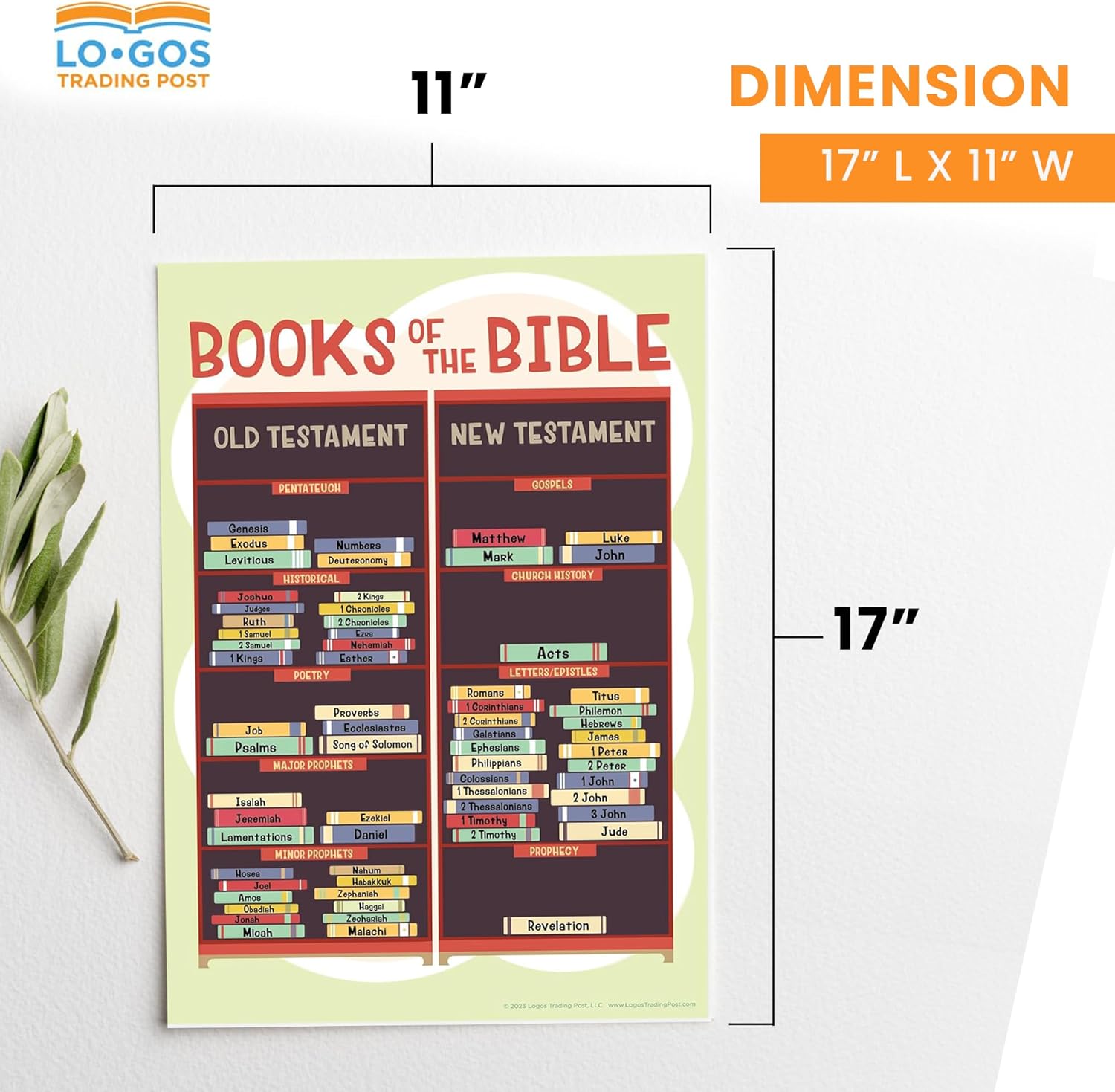 Books Of The Bible Poster, 11x17 Laminated Bible Oman | Ubuy