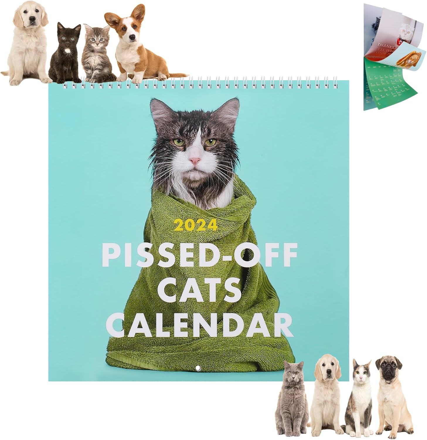 Zuimei 2024 Pissed-Off Cats Calendar, Cats Wall Calendar Fun Cats Wall ...