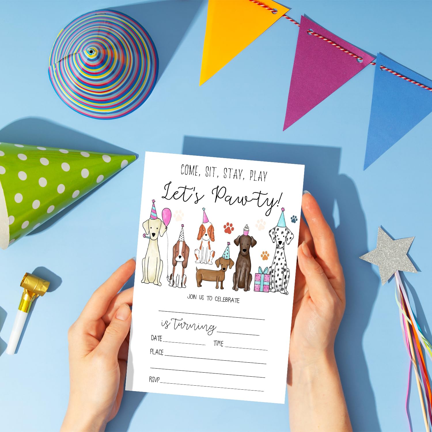 Come Sitstay Birthday Invitation