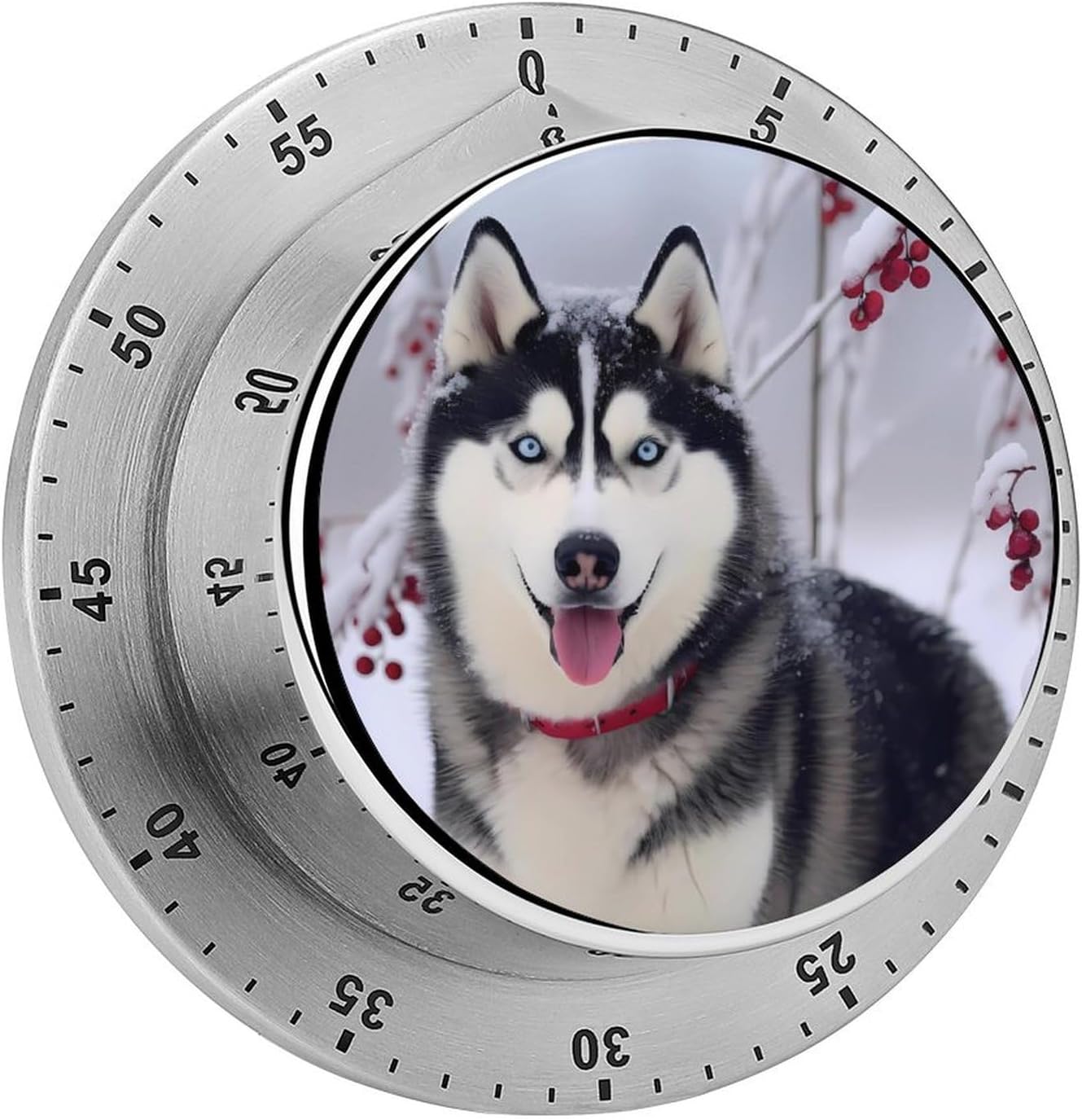 Amazon.com: Siberian Husky Dog Snow Day Funny Timer 60 Minute ...