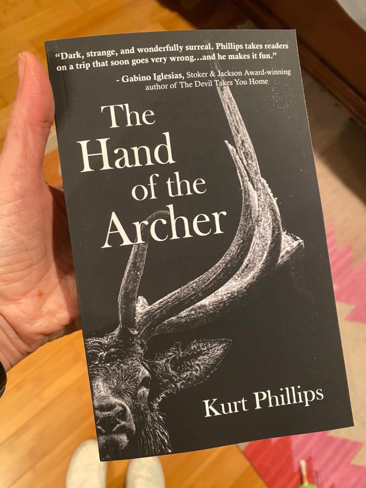 The Hand of the Archer: Phillips, Kurt: 9798988101307: Amazon.com: Books
