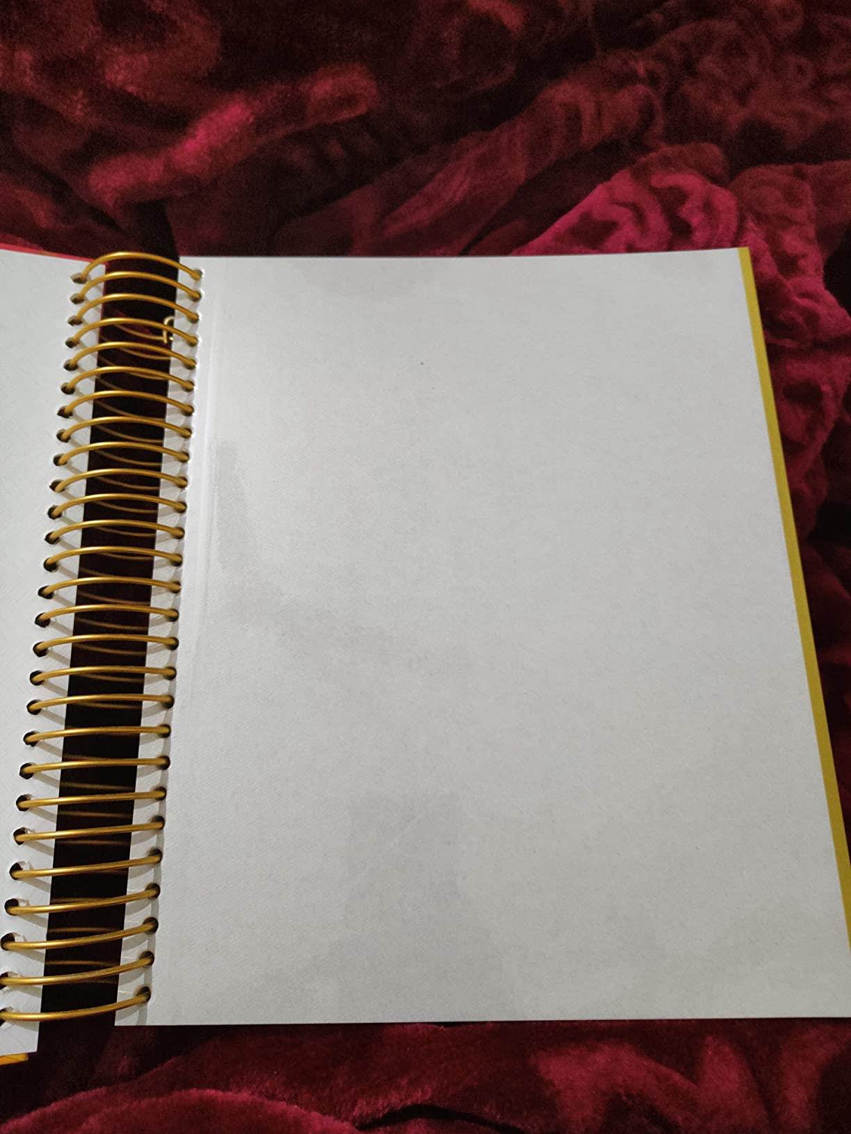 Natraj Big Size Autostick 30 Sheet (Size 11x13 Inch) Album : Amazon.in ...