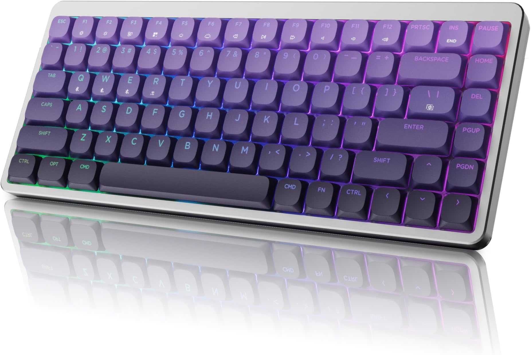 Amazon.com: Womier 75% Low Profile Mechanical Keyboard, Purple ...