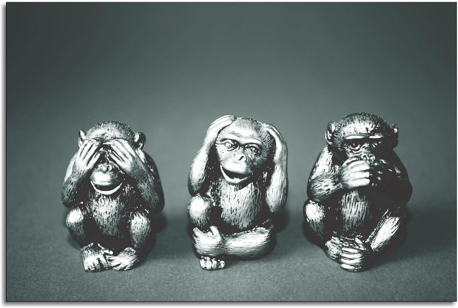 Amazon.com: Emotion Photography Wall Art Ape Canvas Prints Figurines ...
