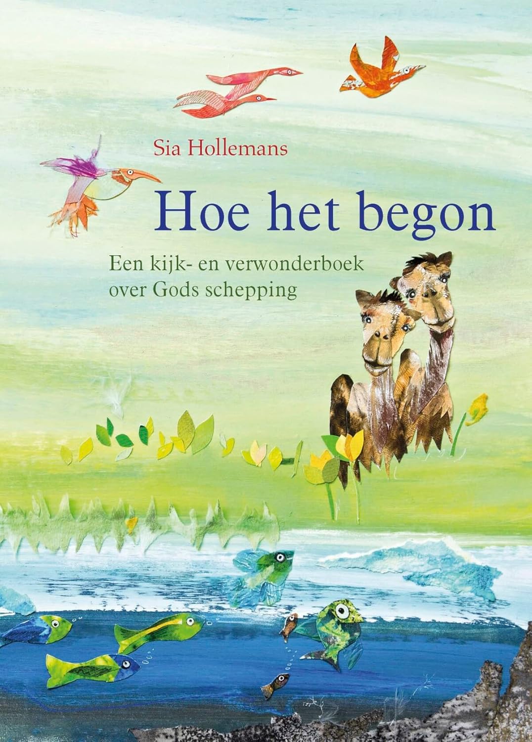 Hoe het begon: Een kijk- en verwonderboek over Gods schepping: Amazon ...