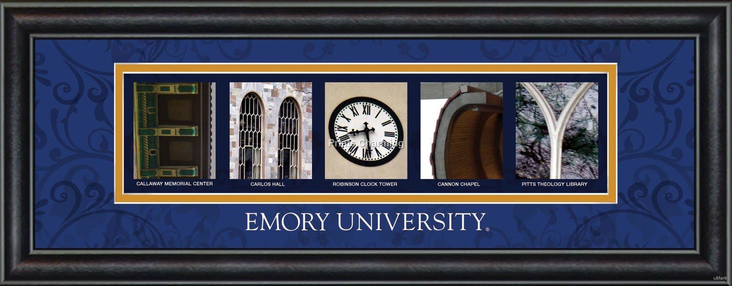 Amazon.com: Prints Charming Letter Art Framed Canvas, Emory University ...