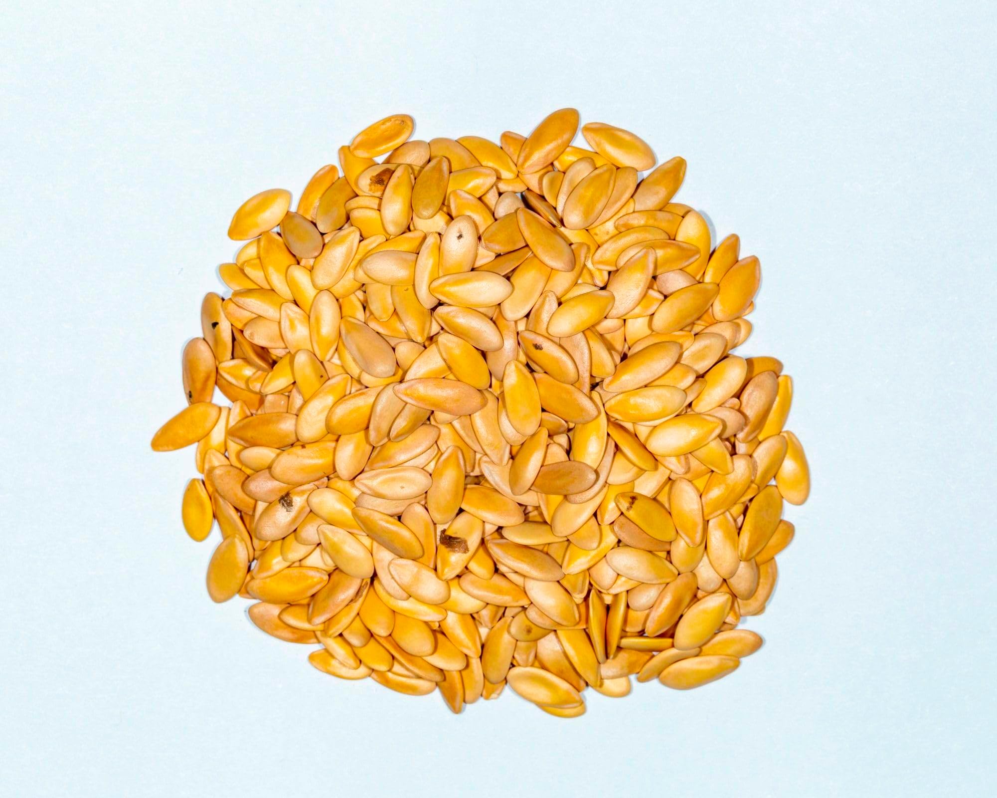 Amazon.com : Kajari Melon (Indian Musk Melon) 100 Seed Packet by Kumar ...