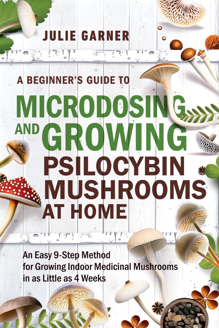 Amazon.com: A Beginner’s Guide To Microdosing and Growing Psilocybin ...