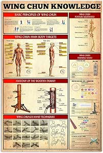Amazon.com : Wing Chun Knowledge Retro Metal Wall Decor Poster Wing ...