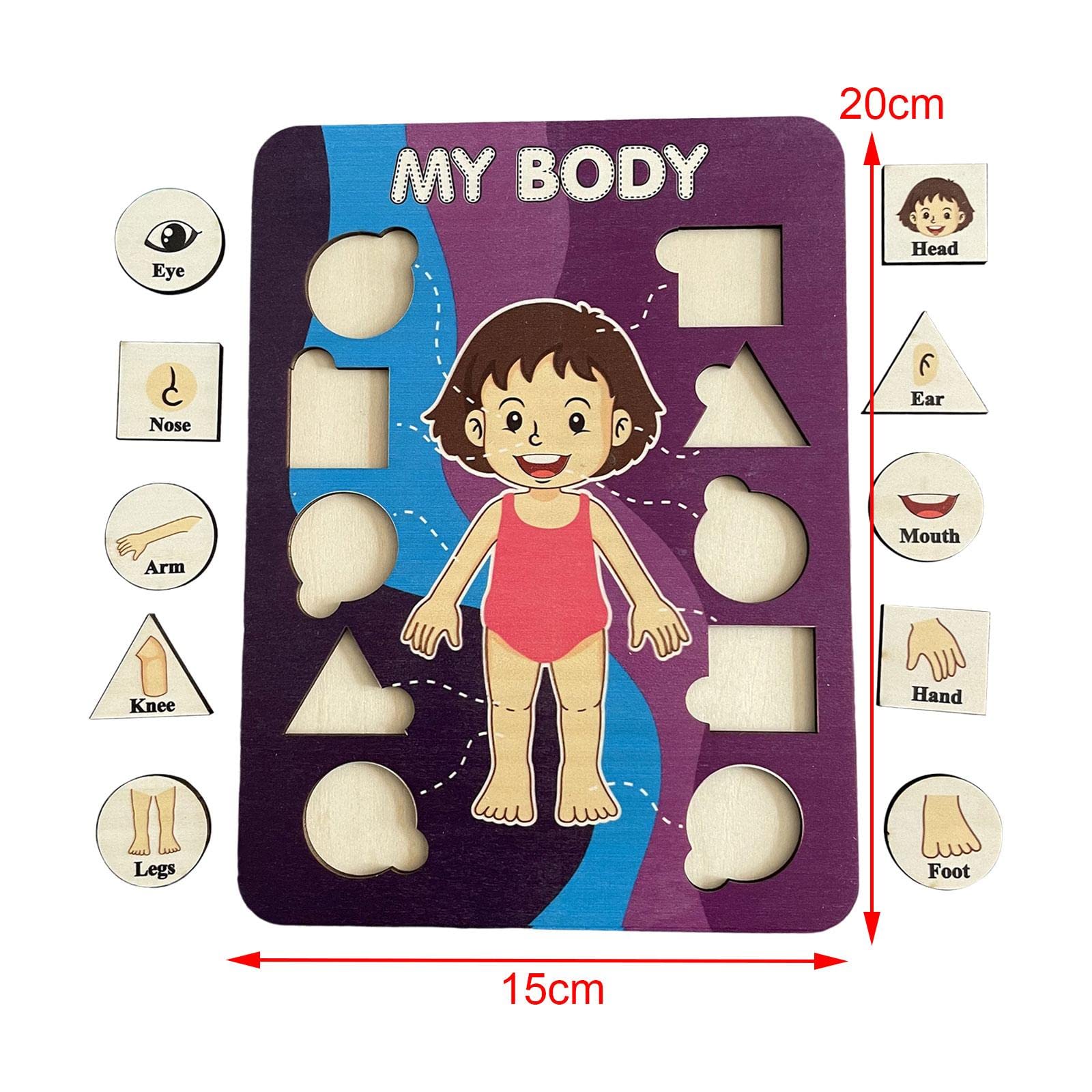 Puzzle Partes Del Cuerpo