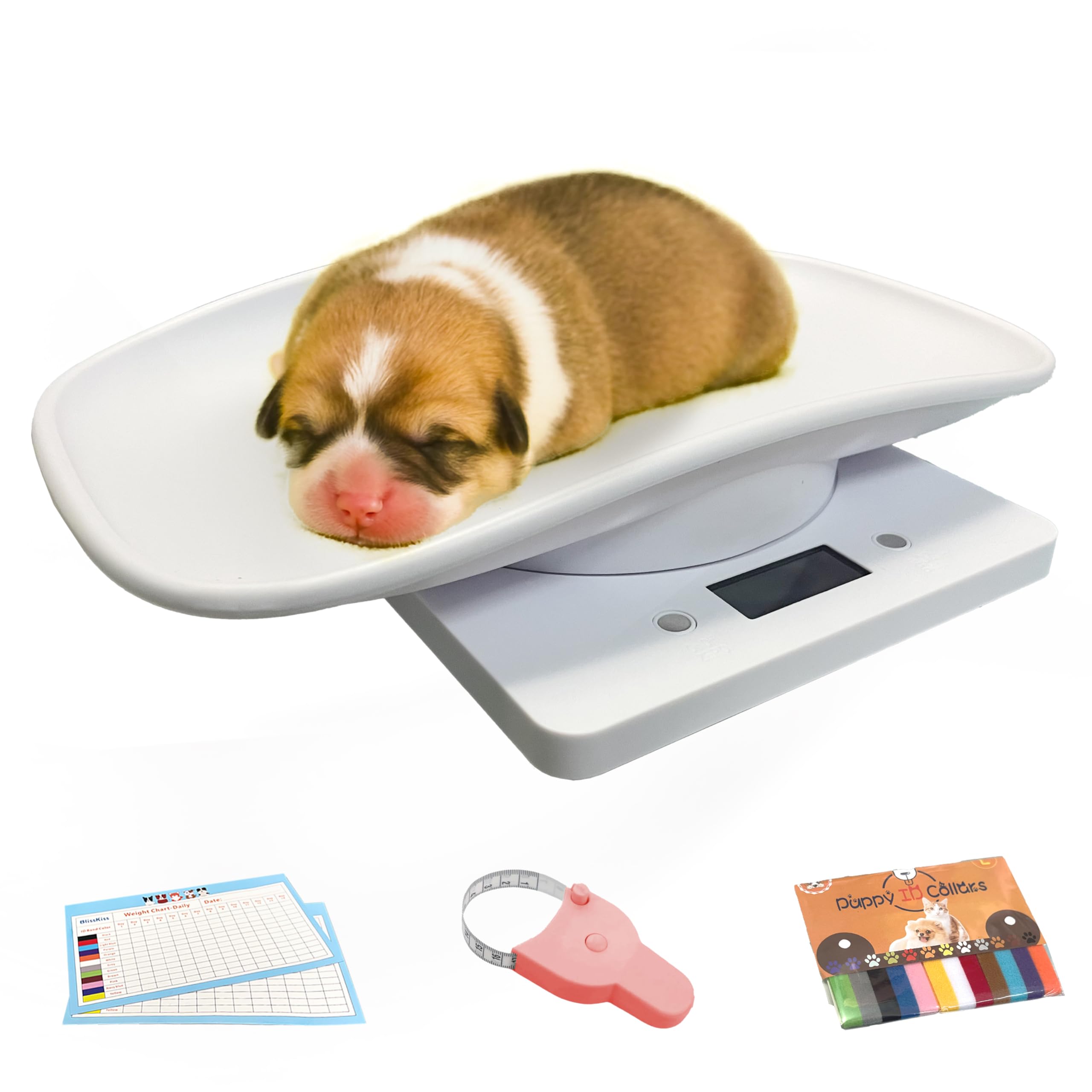 Amazon.com: BlissKiss Digital Pet Scale,Capacity Up to 33lb/15kg ...