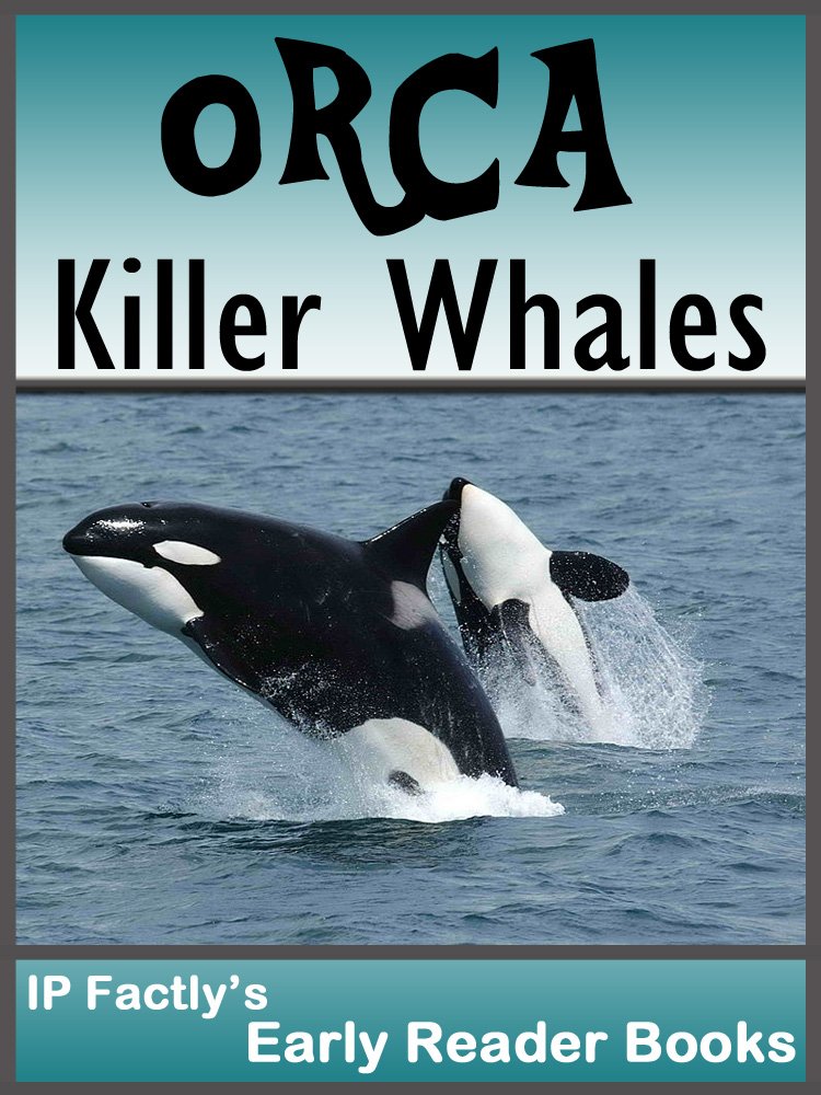 Orca - Killer Whales! Amazing facts, photos & video links to one of the ...