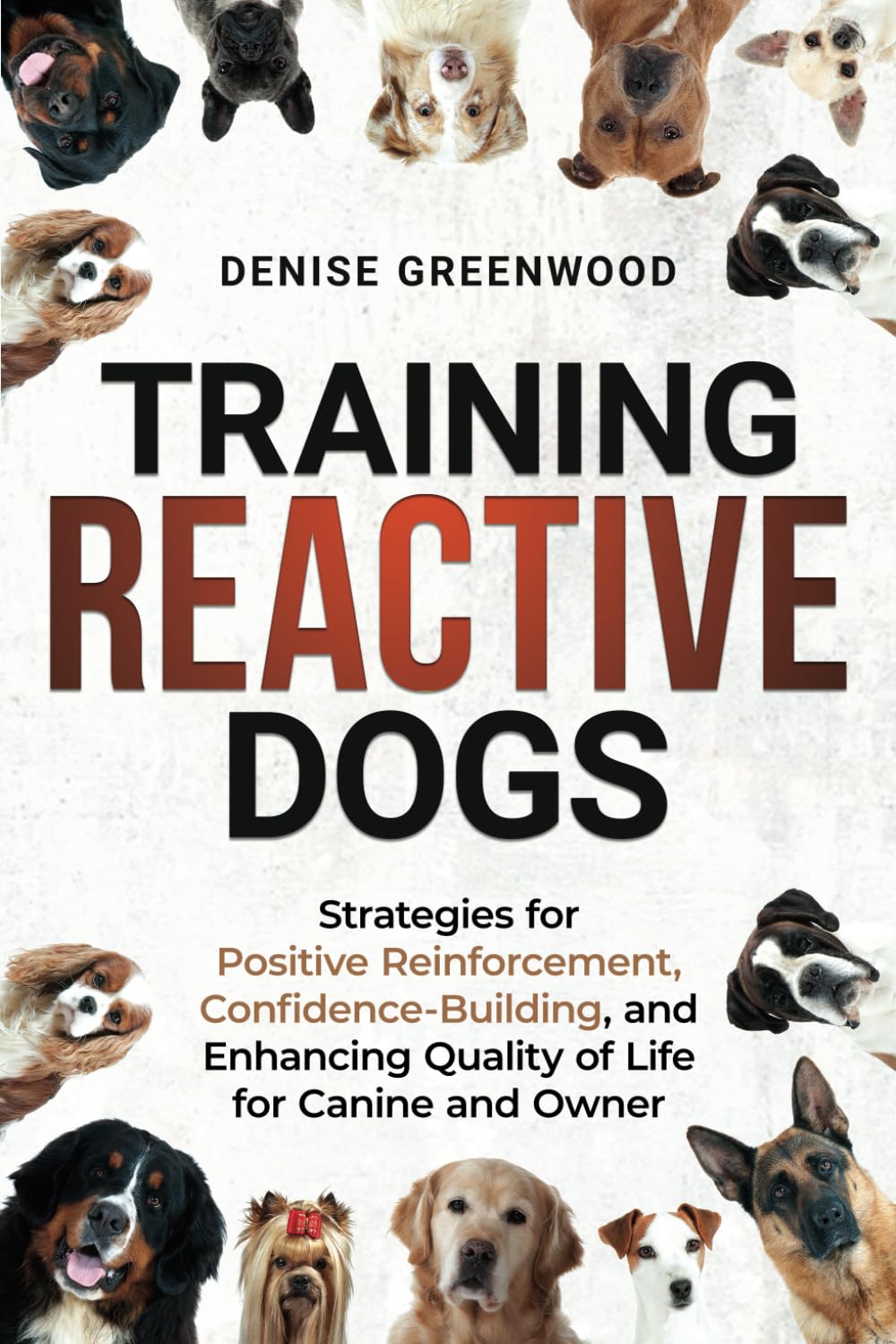 Training Reactive Dogs: Strategies for Positive Reinforcement ...