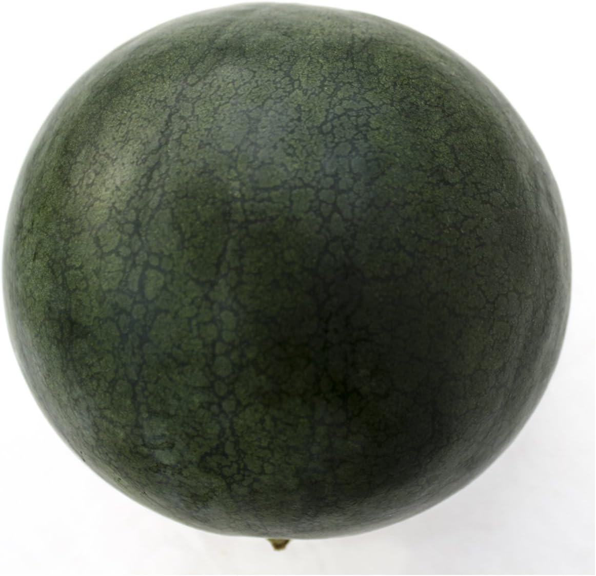 Paquete de 100semillas Sugar Baby Sandía Citrullus lanatus semillas por ...