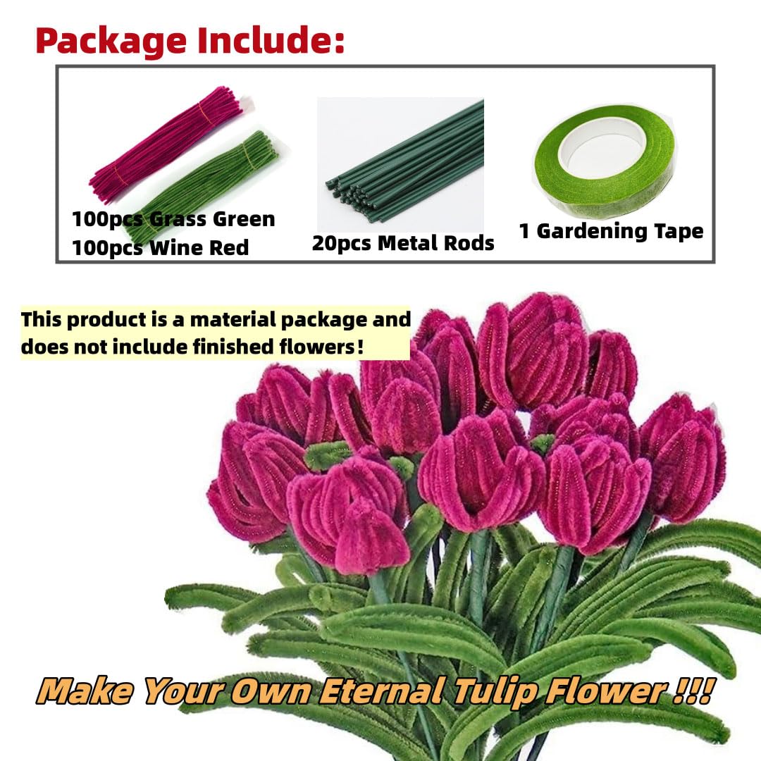 Snapklik.com : 200pcs Pipe Cleaners Craft Supplies, DIY Tulip Bouquet ...