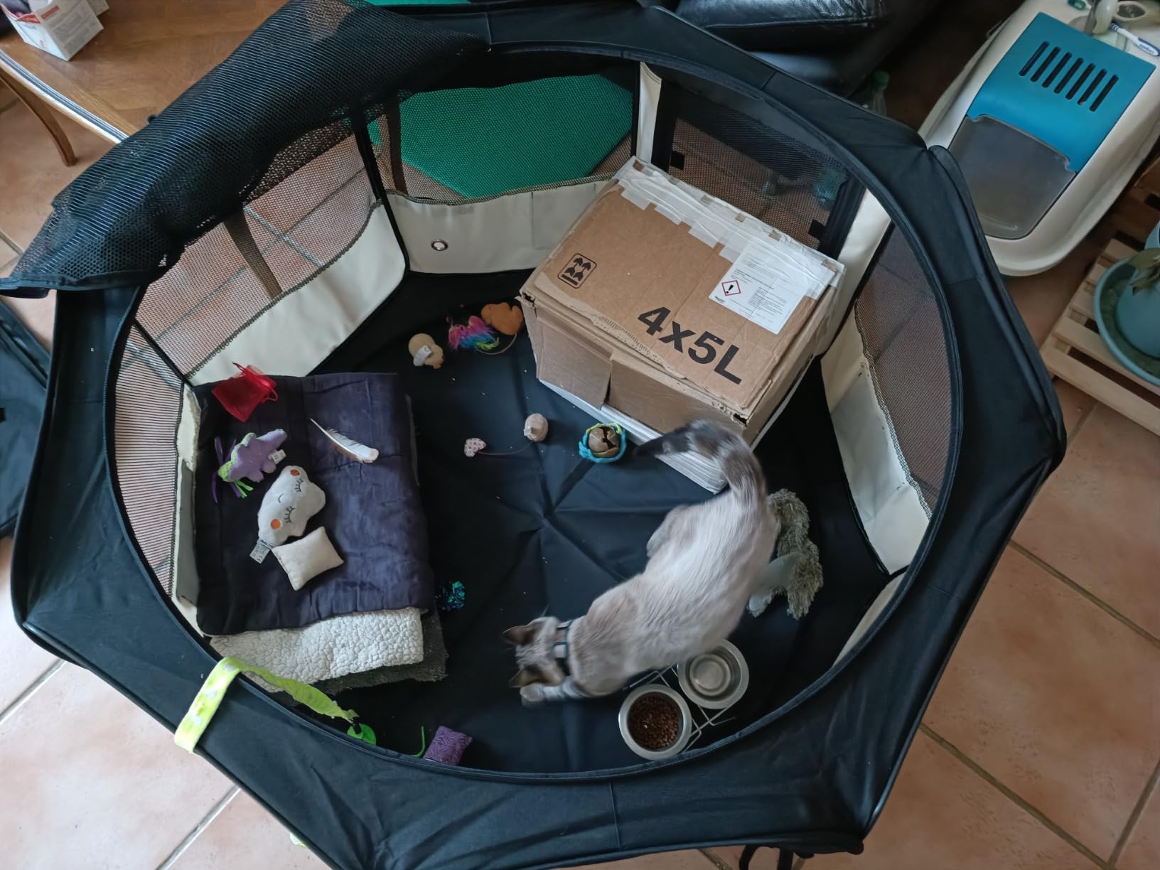 PawHut Parc enclos Pliable pour Chats et Petits Animaux octogonale en ...