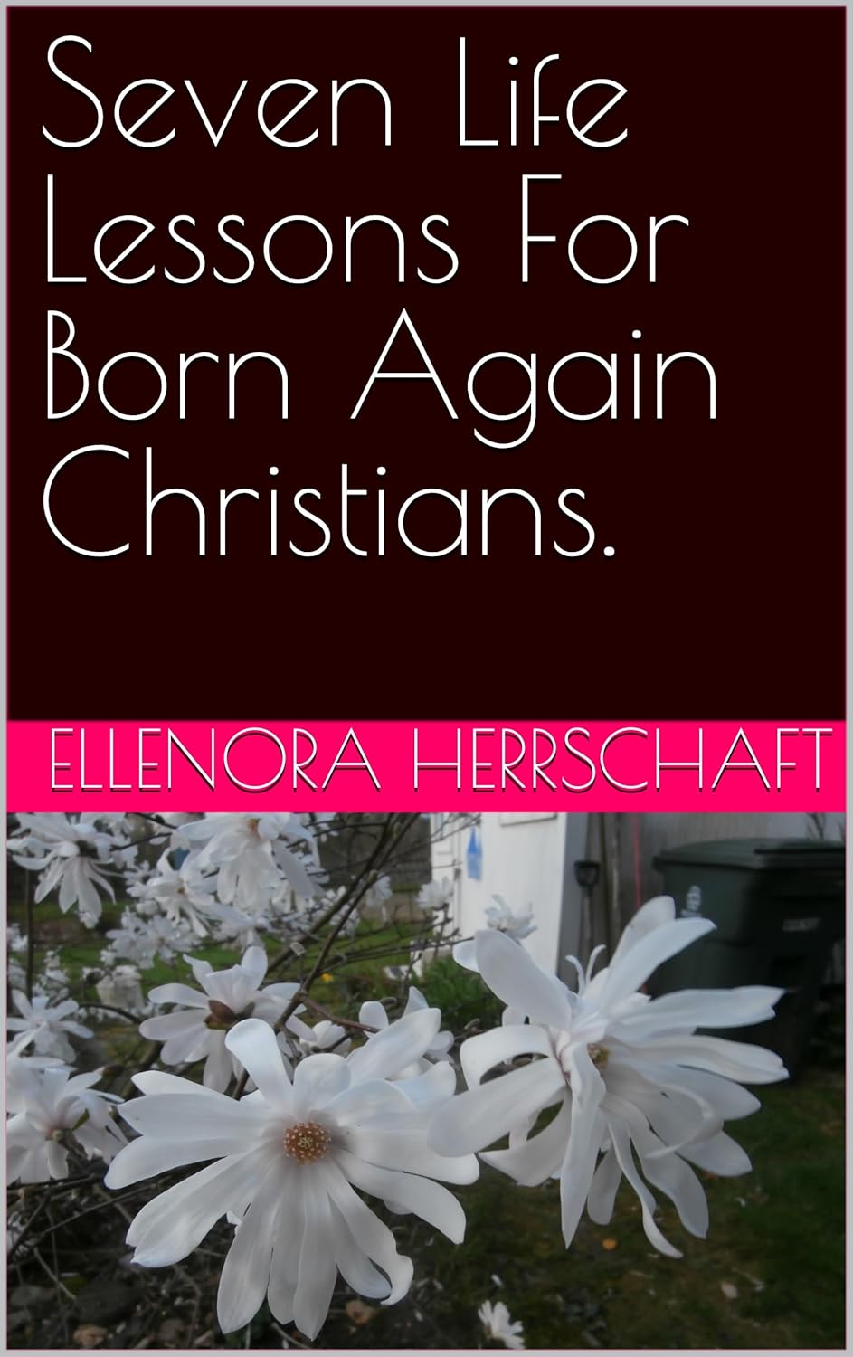 Amazon.com: Seven Life Lessons For Born Again Christians. (What Now ...