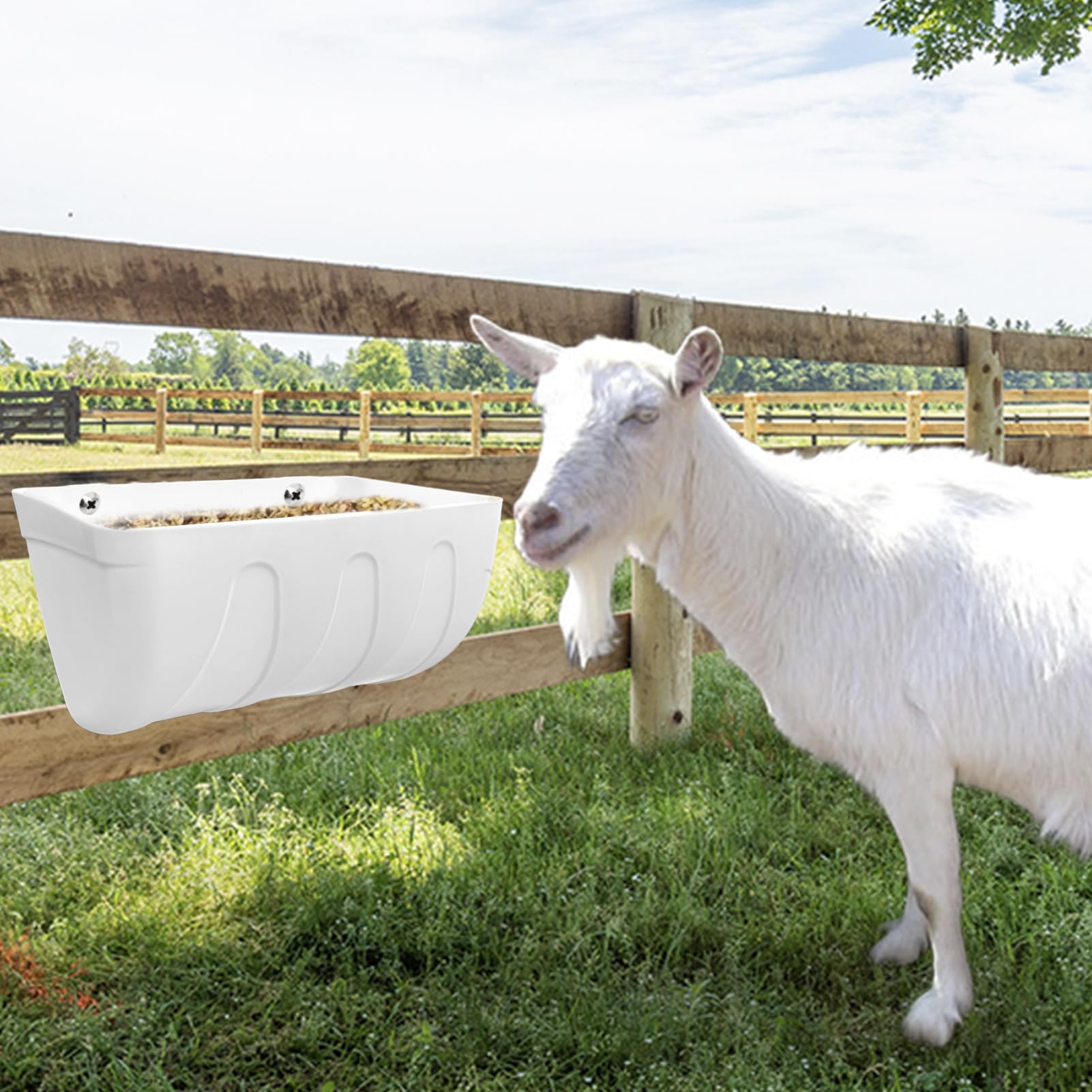 Snapklik.com : Hanging Chicken Feeder Trough, 1 Pack Fence Feed Feeder ...