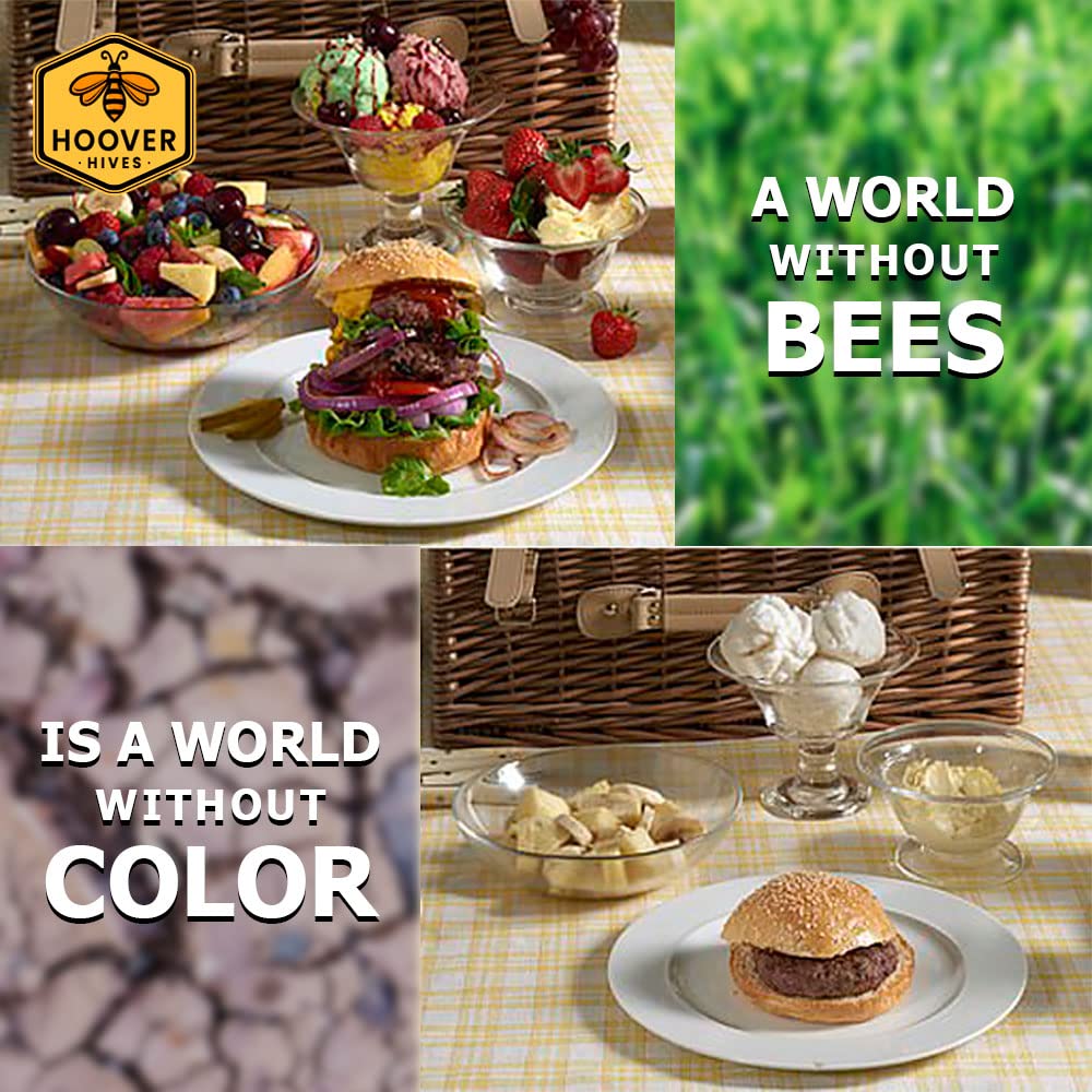 Hoover Hives 10 Frame Bee Hive Starter Kit for Bee Keepers - Langstroth ...