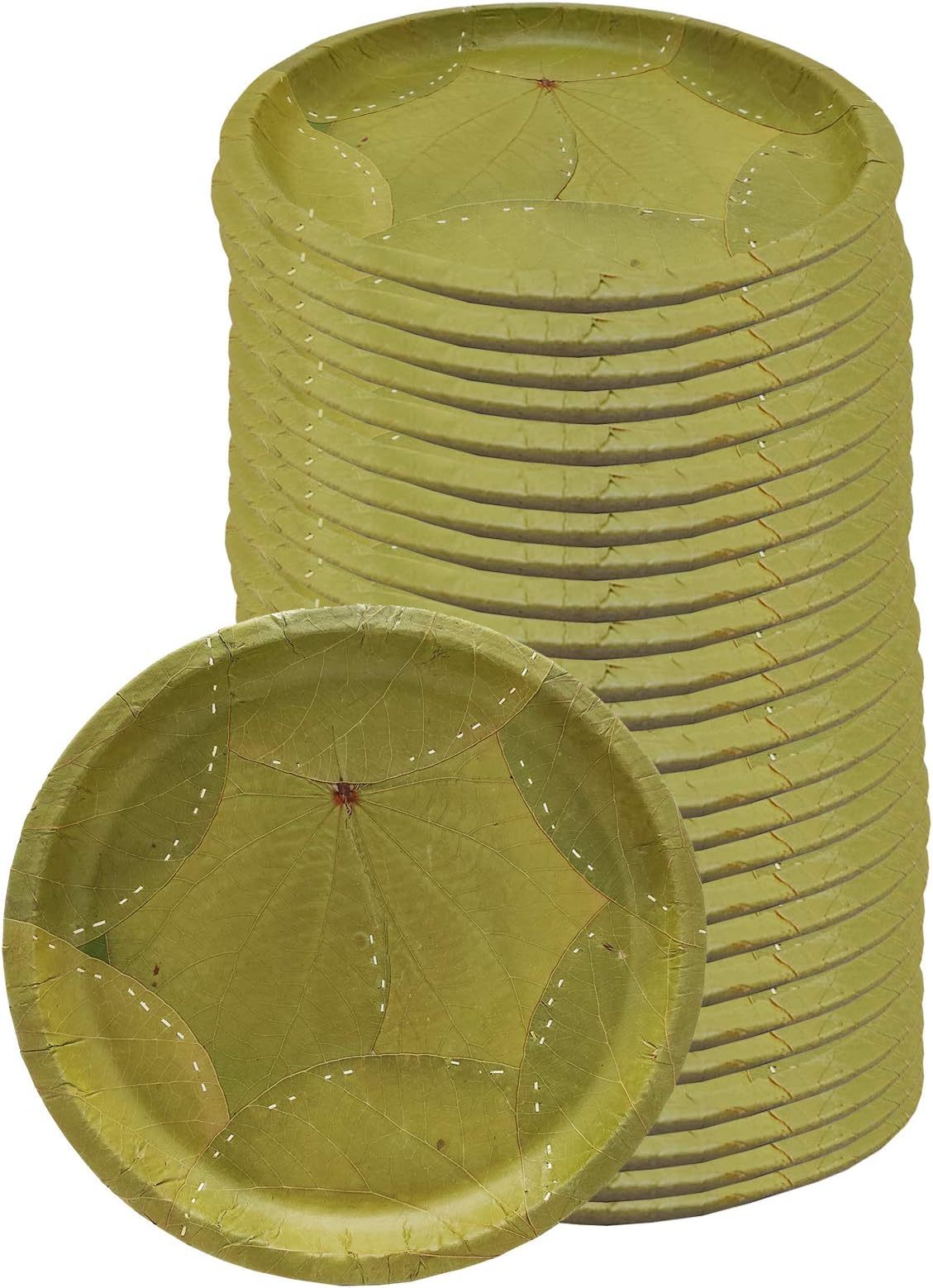 Vistaraku Green Leaf Plate - 10 Inches (Pack of 20 Plates) : Amazon.in ...