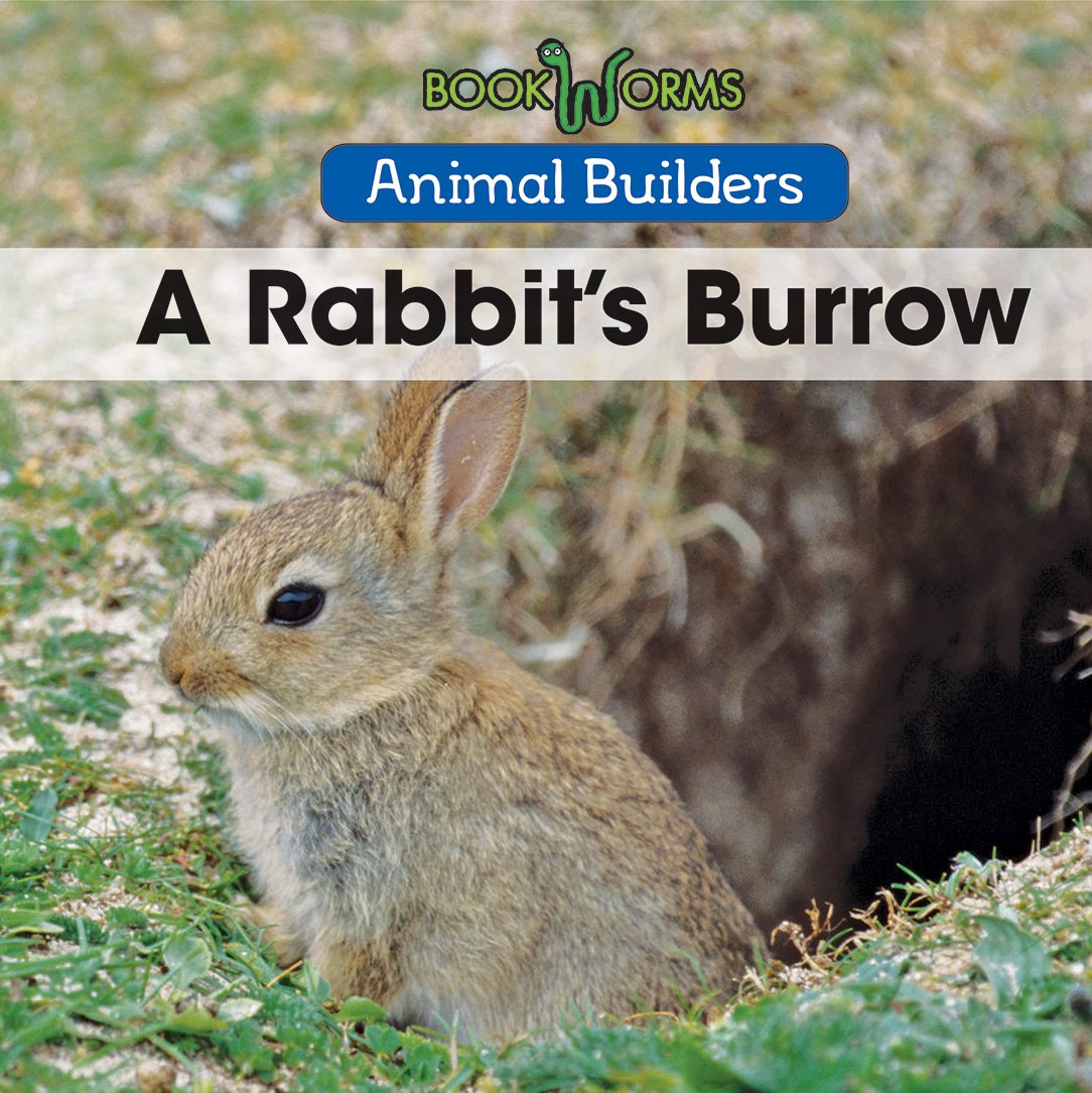 Amazon.com: A Rabbit's Burrow (Animal Builders): 9781502620880 ...