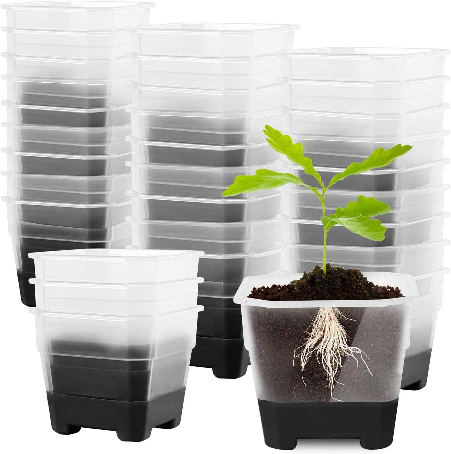 Amazon.com: Nomanak 30-Pack 4" Reinforced Clear Nursery Pots - Plastic ...