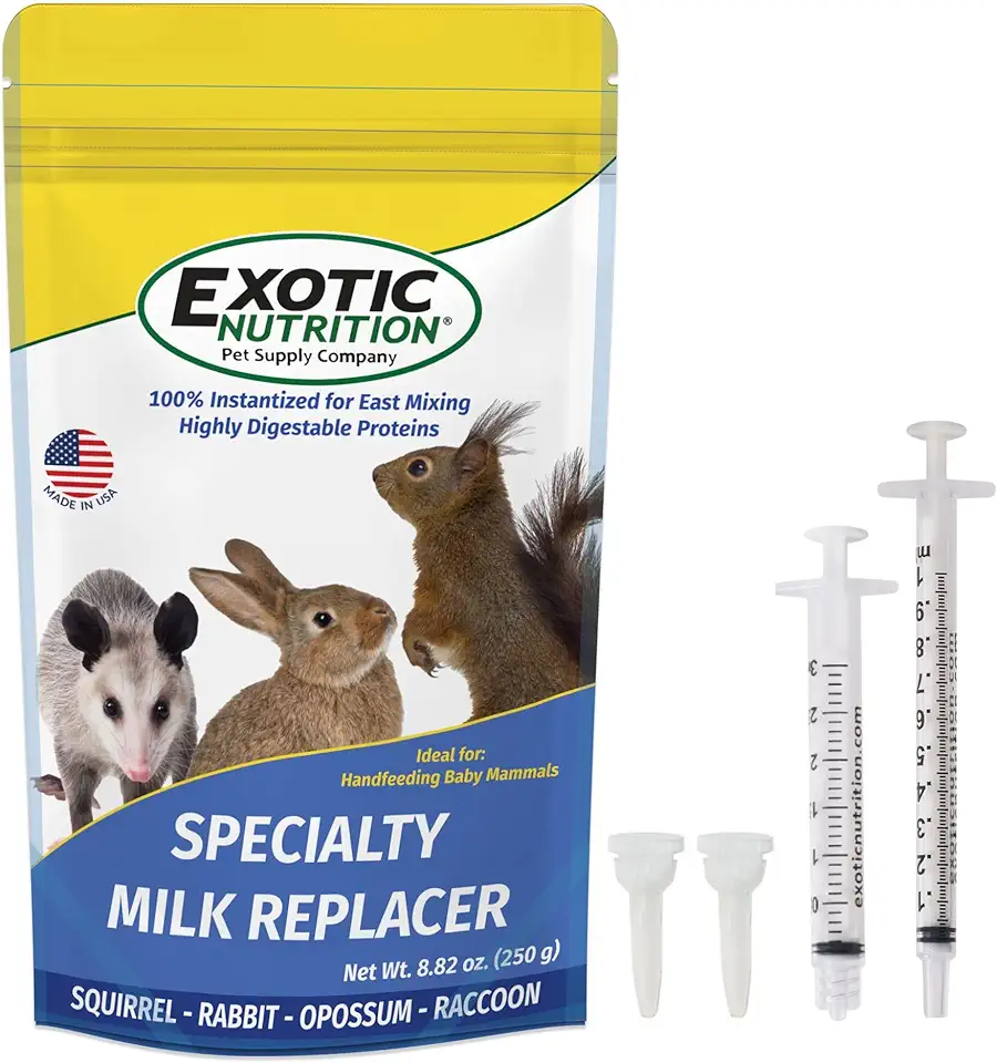 How Do Baby Rabbits Nurse? A Guide To Rabbit Nursing Behavior | PetShun