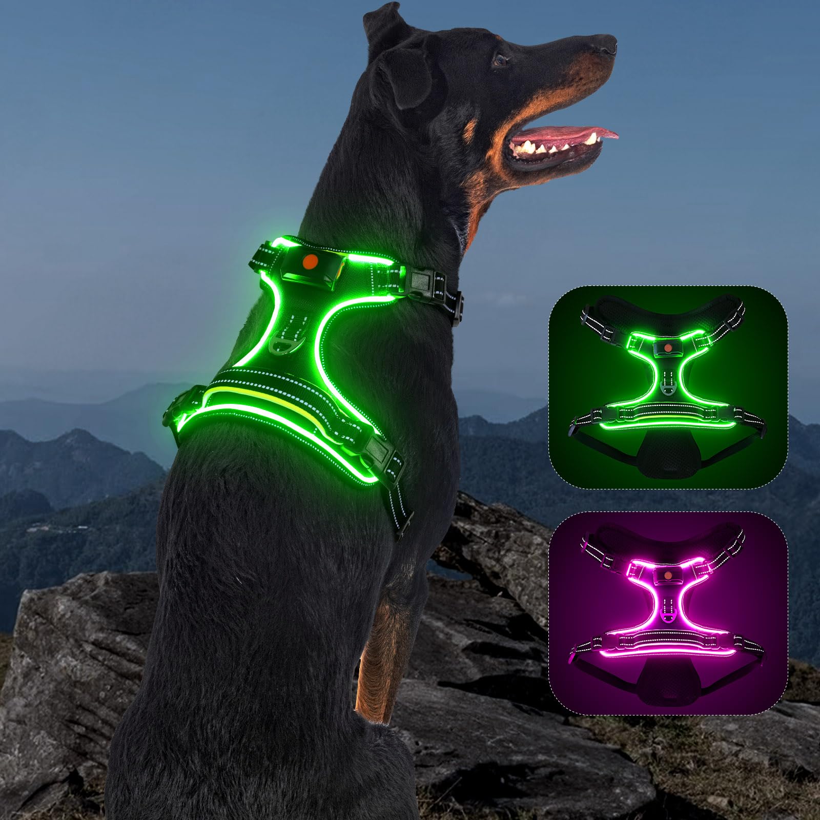 Light Up Dog Harness, Rechargeable LED Dog Harness for Small Medium ...
