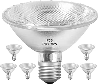Jaenmsa Par30 75W Short Neck Halogen Floodlight Bulbs 120V, 6 Pack 75 ...