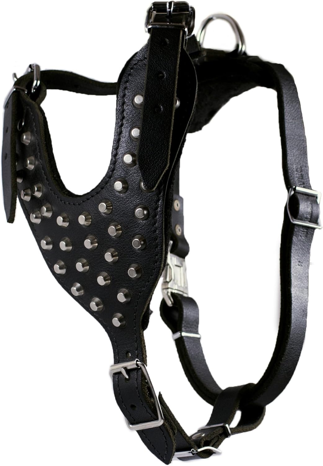 Amazon.com : Dean and Tyler Stud Warrior Brass Hardware Leather Dog ...