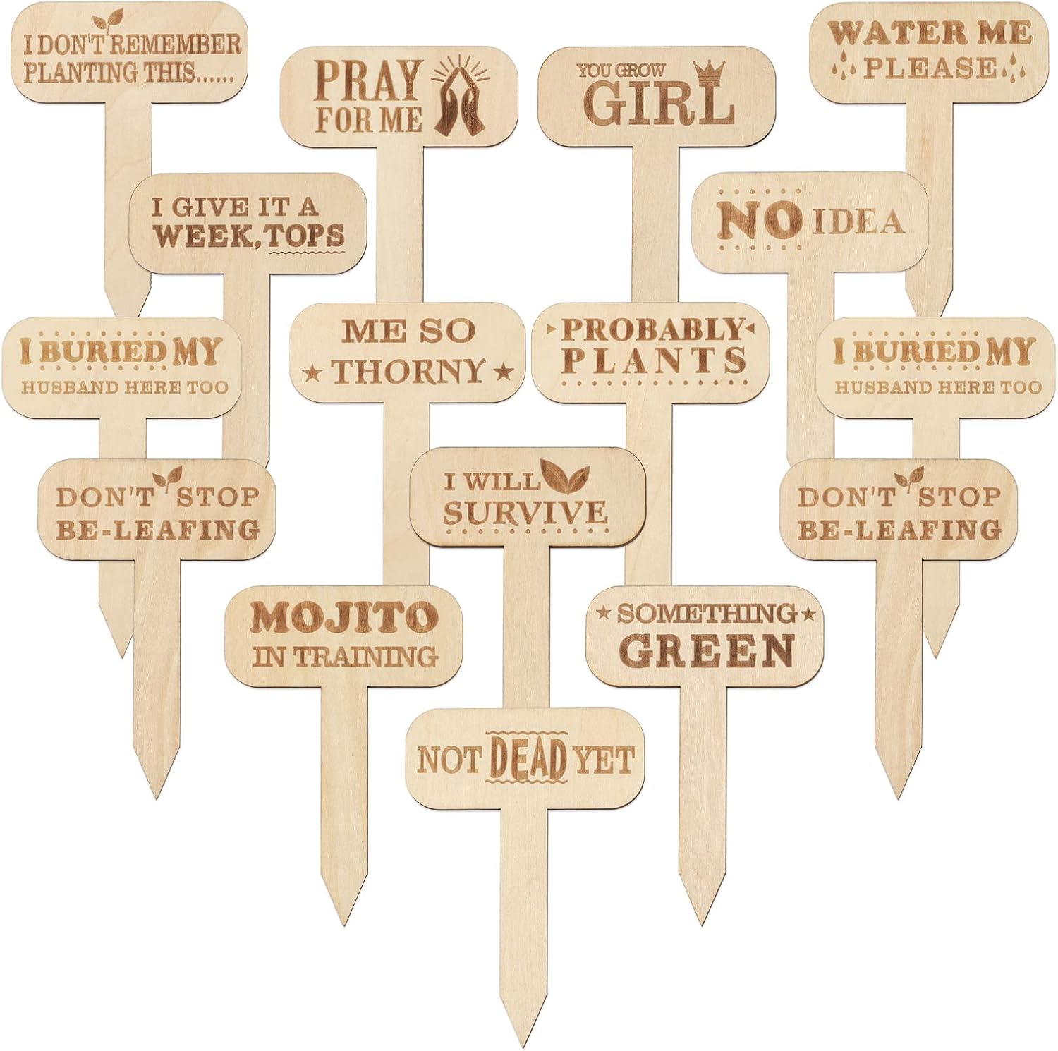 Amazon.com: KINGLAKE Funny Plant Markers,16 Pcs Wood Plant Tags,Cute ...