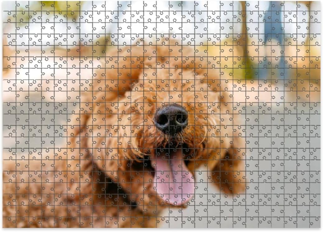 Amazon.com: 1000 Pieces Puzzles Wooden Letter Area Design Cute ...