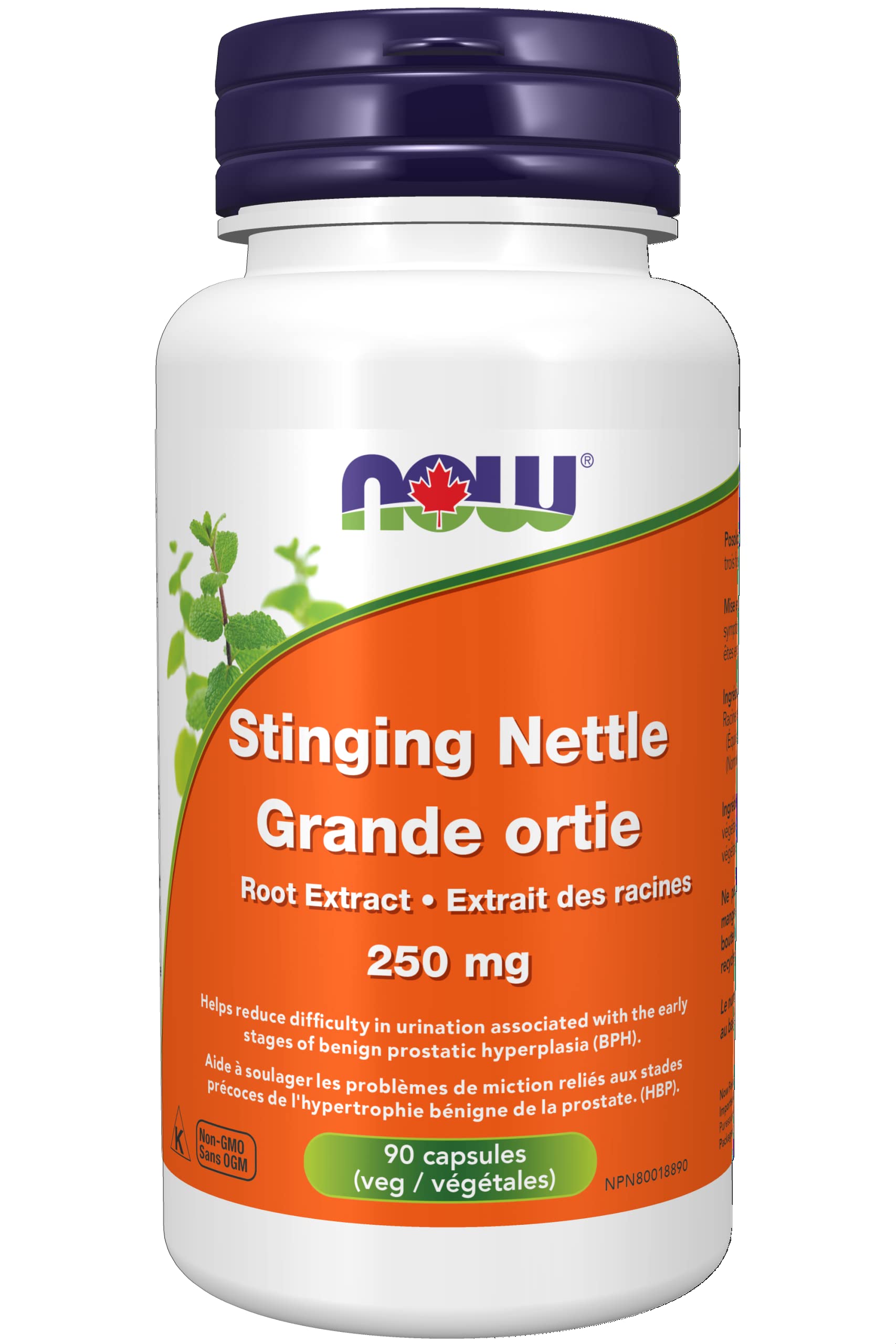 NOW Supplements Stinging Nettle Root Extract 250mg Capsules, 90 Count ...