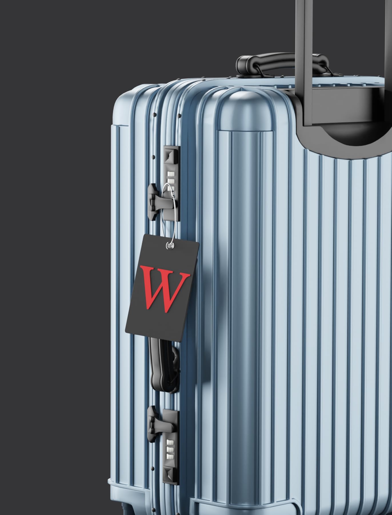 Snapklik.com : Gostwo 2 Pack Initial Luggage Tag, 26 Letter Travel ...