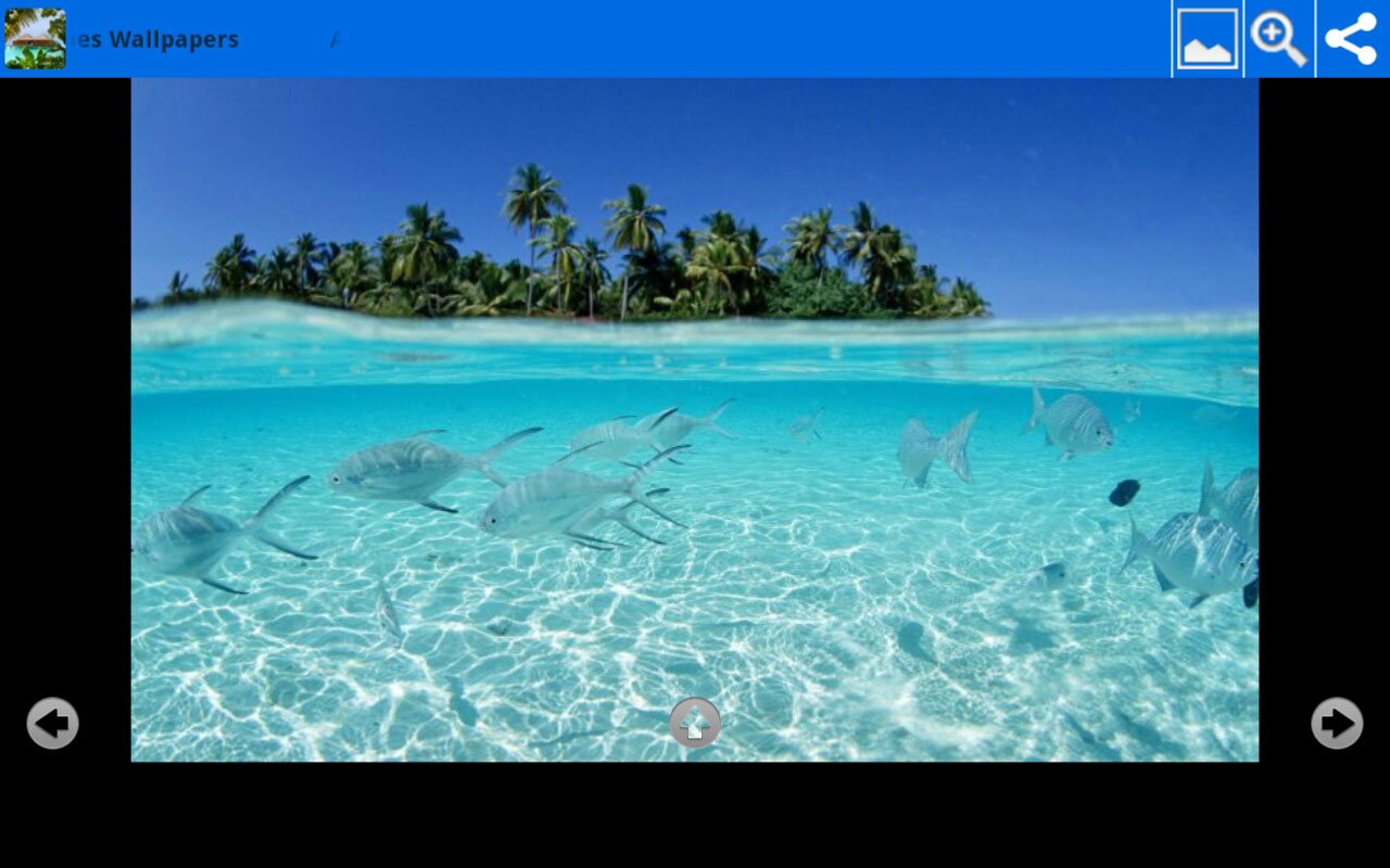 Awesome Beaches Wallpapers - App on the Amazon Appstore