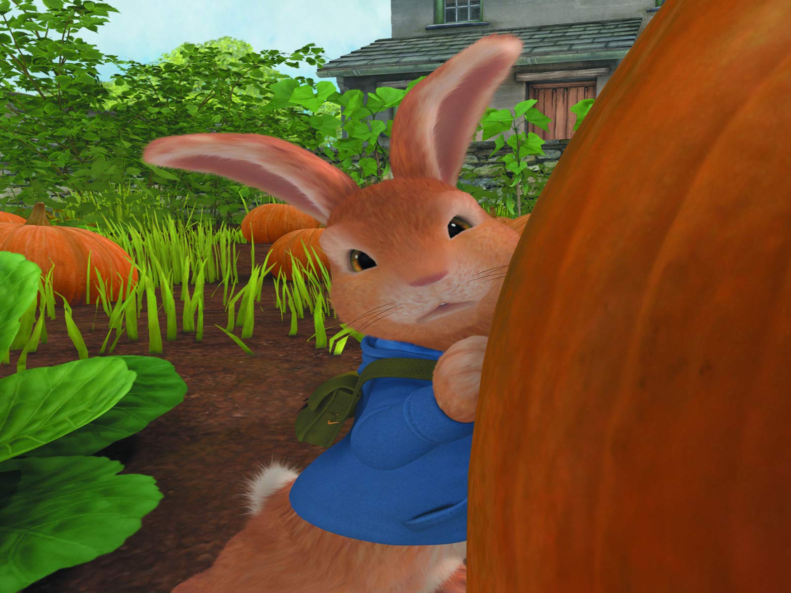 Watch Peter Rabbit Season 1 | Prime Video