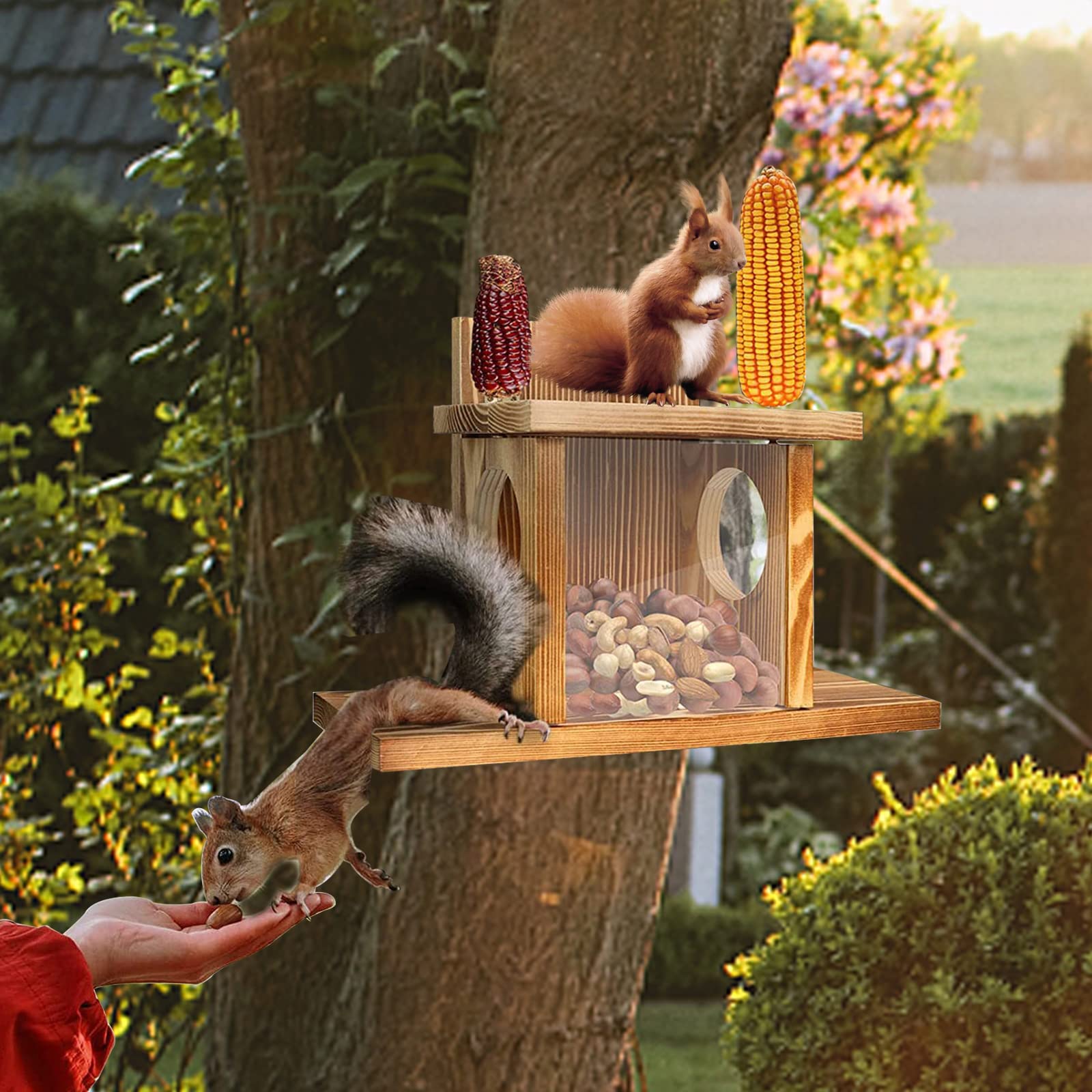 Squirrel Feeding Station
