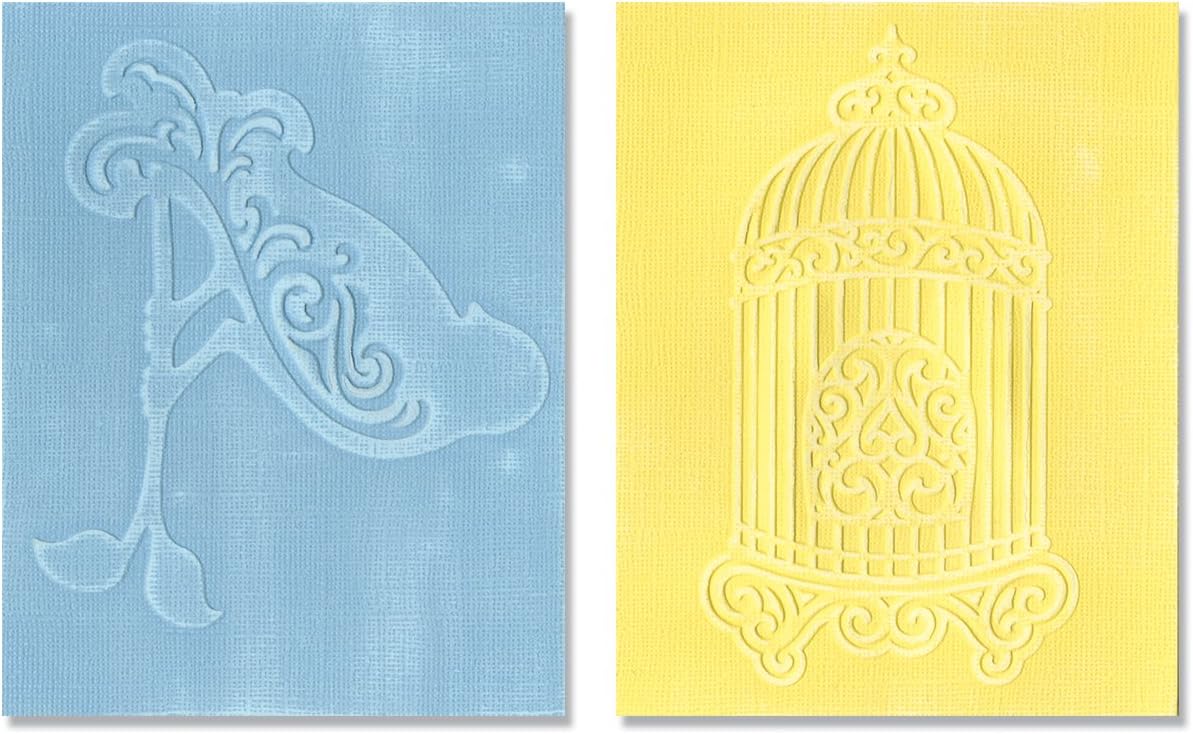 Amazon.com: Sizzix Textured Impressions Embossing Folders 2PK - Bird & Birdcage Set by Jen Long