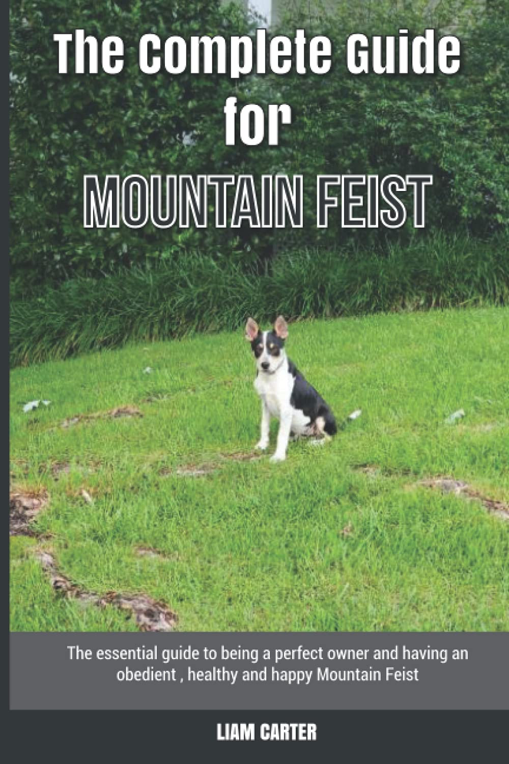 The Complete Guide for Mountain Feist: The essential guide to being a ...