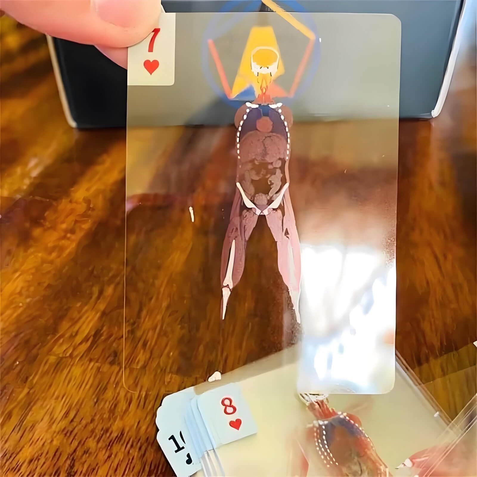 Snapklik.com : Koieam The Body Deck, The Body Deck Playing Cards ...
