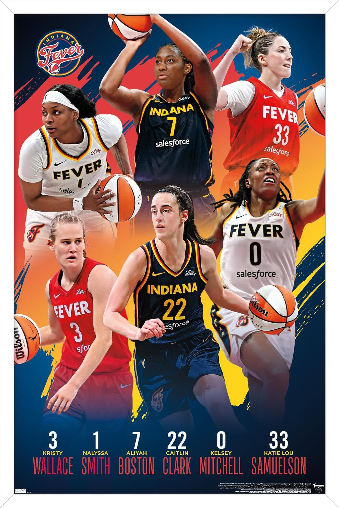 Amazon.com: Trends International WNBA Indiana Fever -Team 24 Wall ...