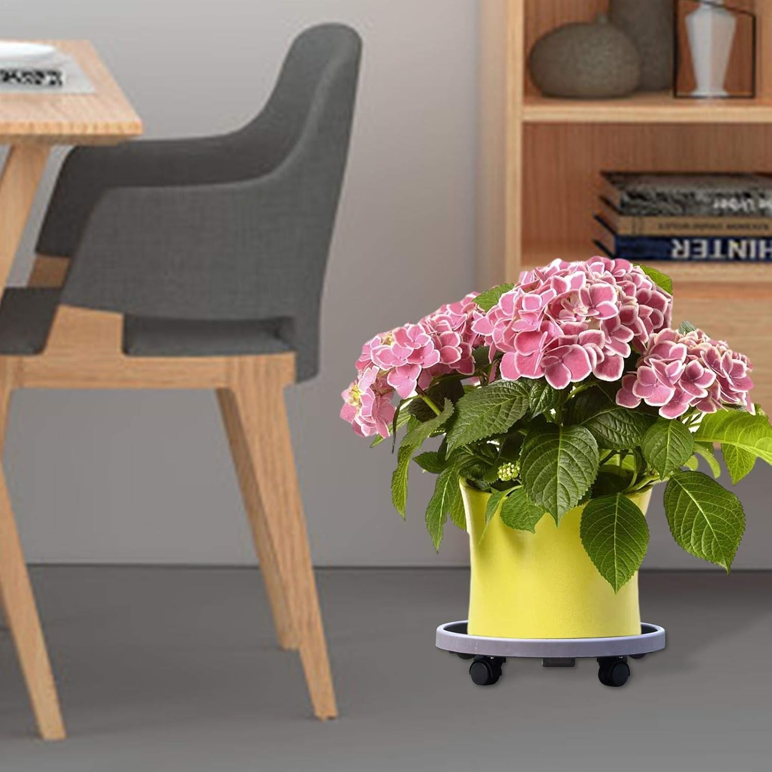 Plant Caddy Plant Saucer Pot Plant Stand Mover Rollers Trolley Movable ...